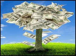 Steve Player - Pick-3 Money Tree